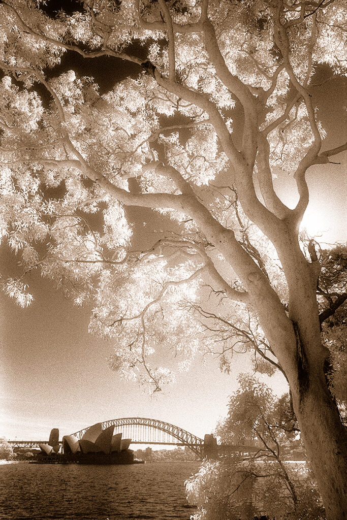 Sydney ~ Australia | Jonathan Marks Photography